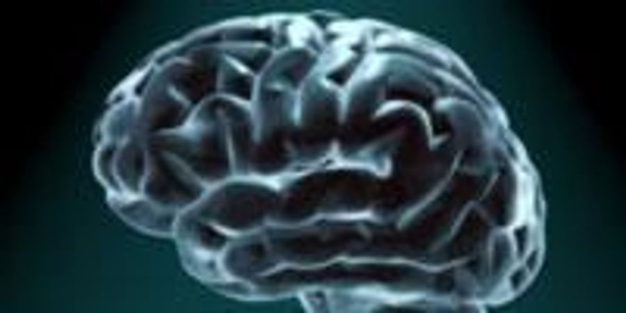 Where Will Big Neuroscience Take Us? | Lab Manager