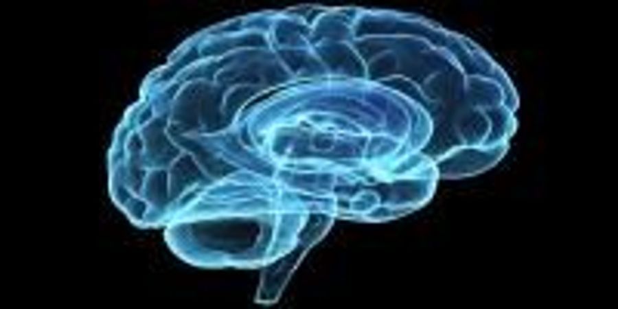 The Backwards Brain? | Lab Manager