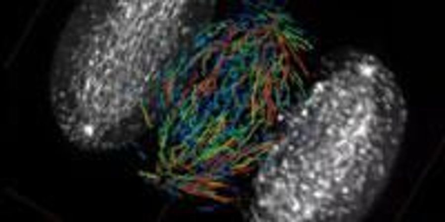 New Microscope Collects Dynamic Images of the Molecules that Animate ...