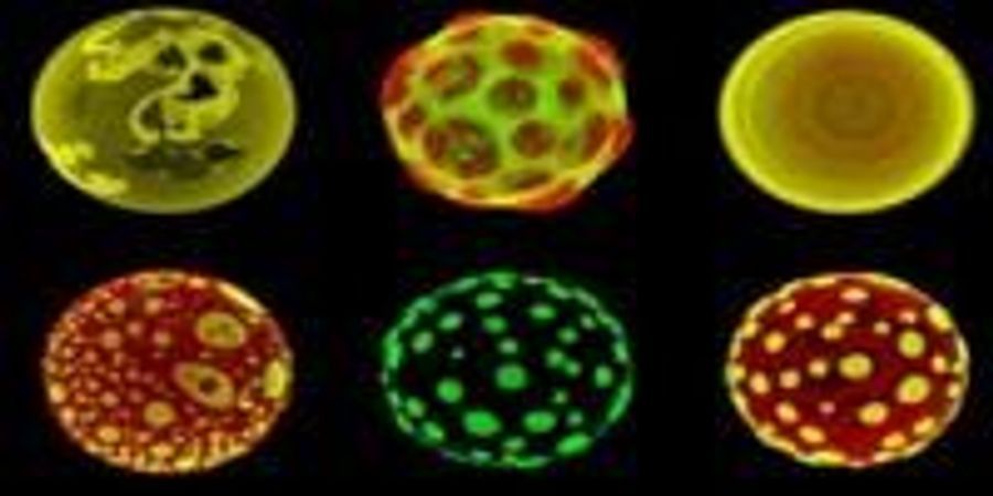 Scientists Create Possible Precursor to Life | Lab Manager