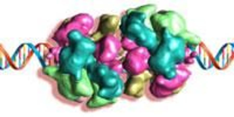 Scientists Map Key Moment in Assembly of DNA-Splitting Molecular ...