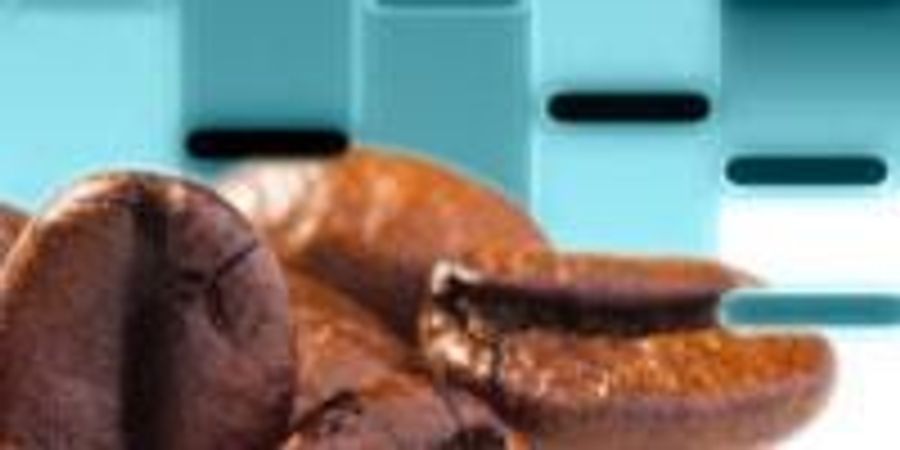 Coffee Genome Sheds Light on the Evolution of Caffeine | Lab Manager