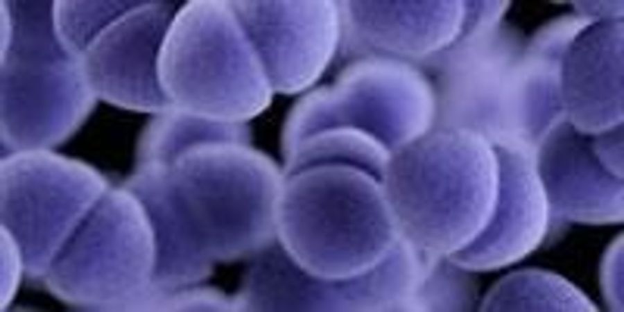 Zombie Bacteria are Nothing to be Afraid Of | Lab Manager