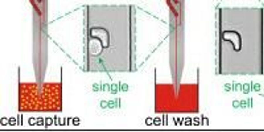 Moving Single Cells Around–Accurately and Cheaply | Lab Manager