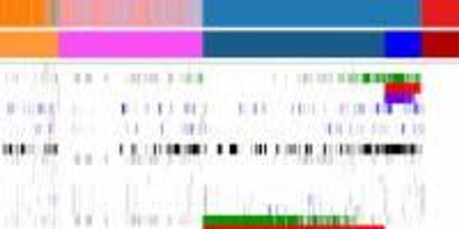 Largest Cancer Genetic Analysis Reveals New Way of Classifying Cancer ...