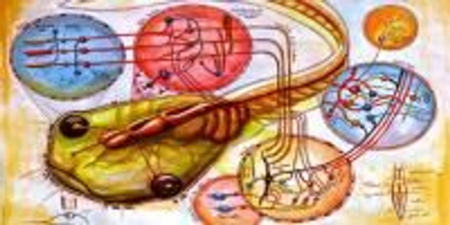 Dodging Dots Helps Explain Brain Circuitry | Lab Manager