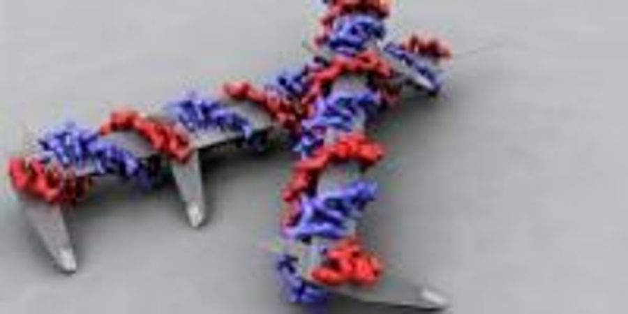 DNA Origami Nano-tool Provides Important Cancer Clue | Lab Manager