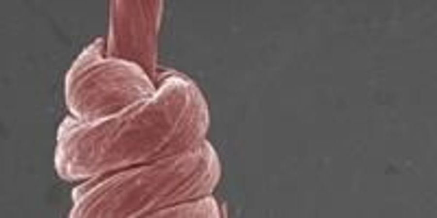 Super-Stretchable Yarn is Made of Graphene | Lab Manager