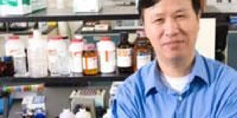 For the First Time in the Lab, Researchers See Stem Cells Take Initial ...