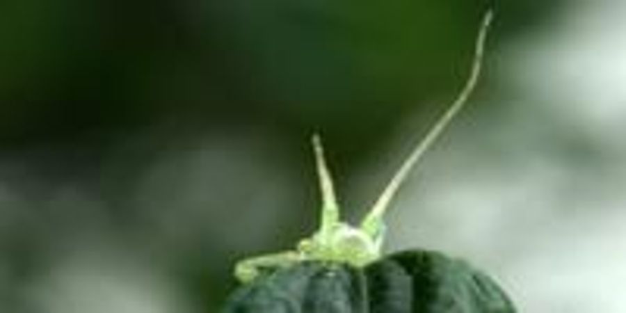 Study Uncovers New Evidence on Species Evolution | Lab Manager