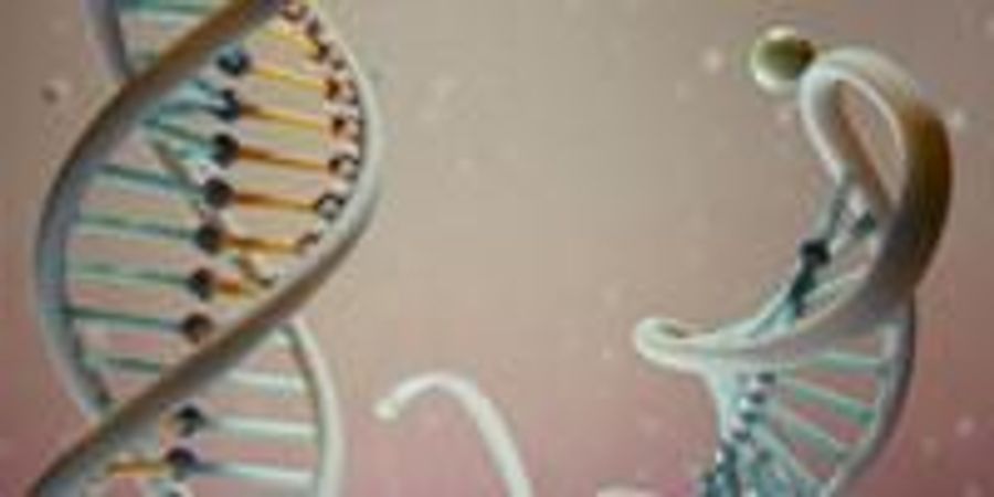 Researchers Use DNA to Build Tool that May Literally Shine Light on ...