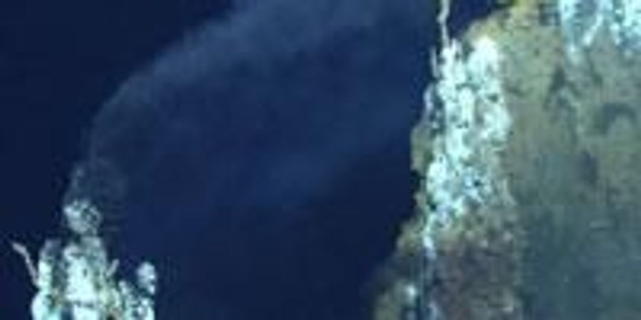 Viruses Hijack Deep-sea Bacteria at Hydrothermal Vents | Lab Manager