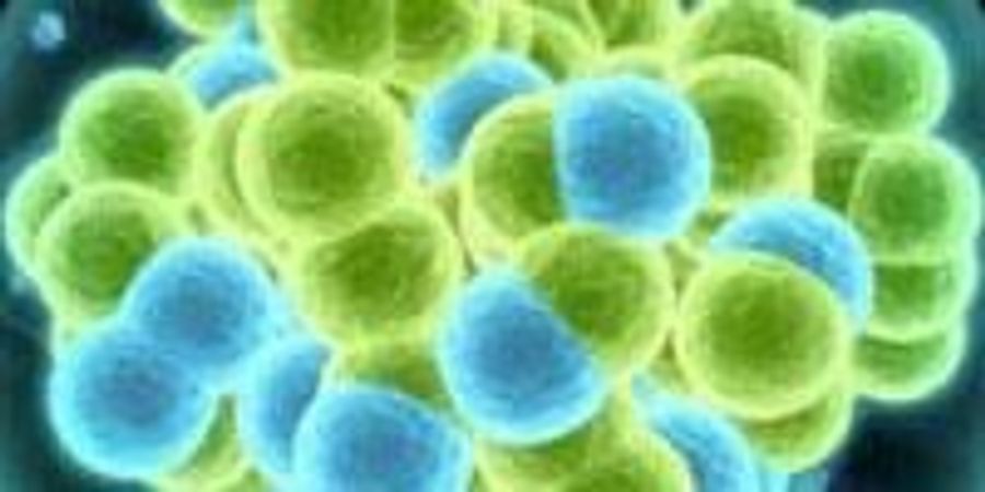 Element 117 One Step Closer to Being Named | Lab Manager