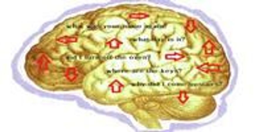 Mom's Brain is Different (video) | Lab Manager