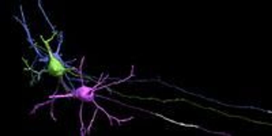 Turning Science On Its Head | Lab Manager