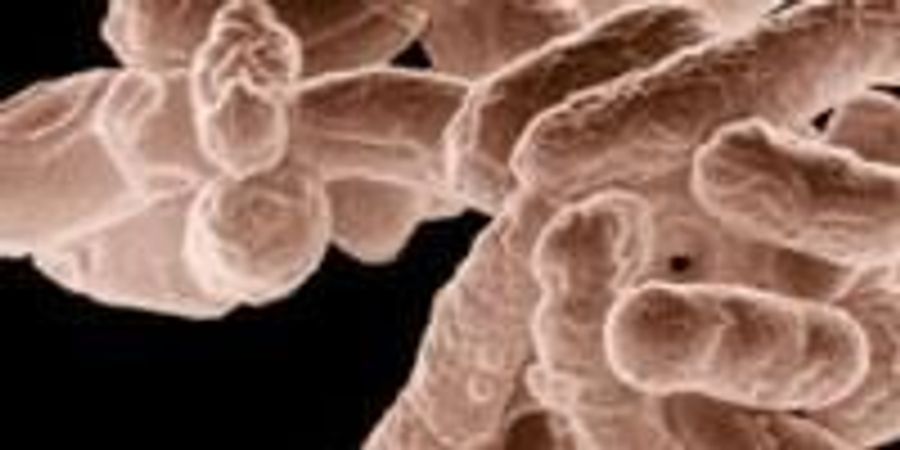 Institute for Genome Sciences Awarded FDA Contract to Expand Genome ...