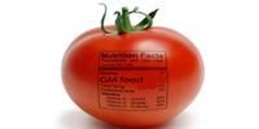 A New Approach to Detecting Changes in GM Foods | Lab Manager A New Approach to Detecting Changes in GM Foods | Lab Manager