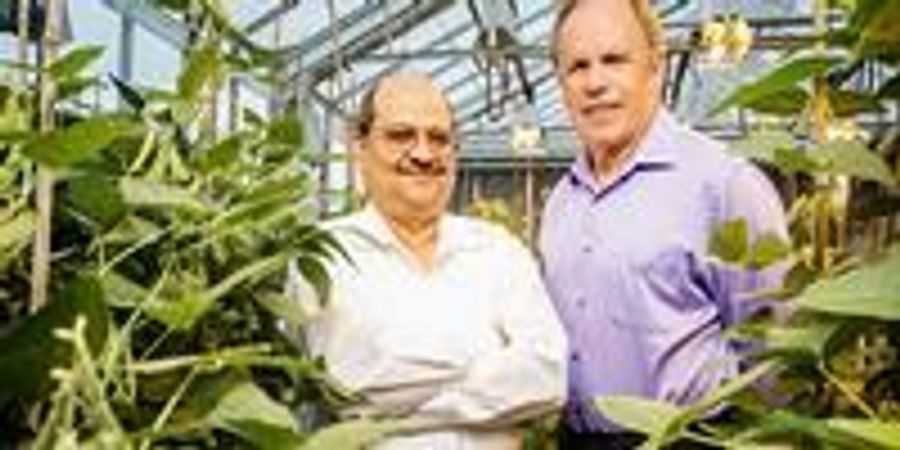 Scientists Say New Computer Model Amounts to a Lot More Than a Hill of ...