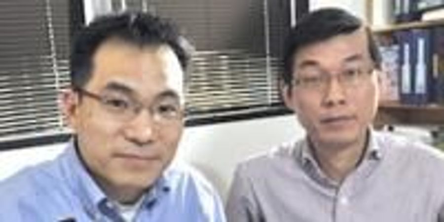 Researchers Generate New Neurons in Brains, Spinal Cords of Living ...