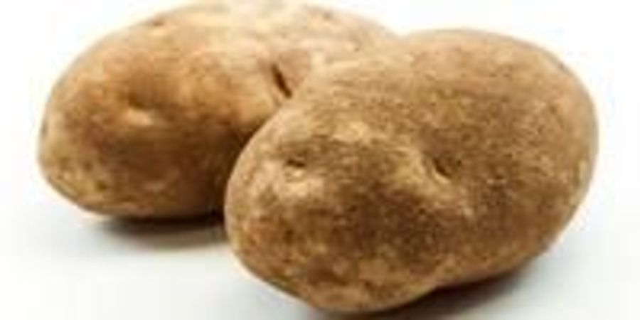 GM Spuds Beat Blight | Lab Manager