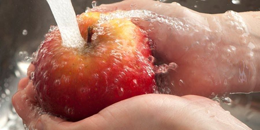 An Apple Carries about 100 Million Bacteria—Good Luck Washing Them Off ...