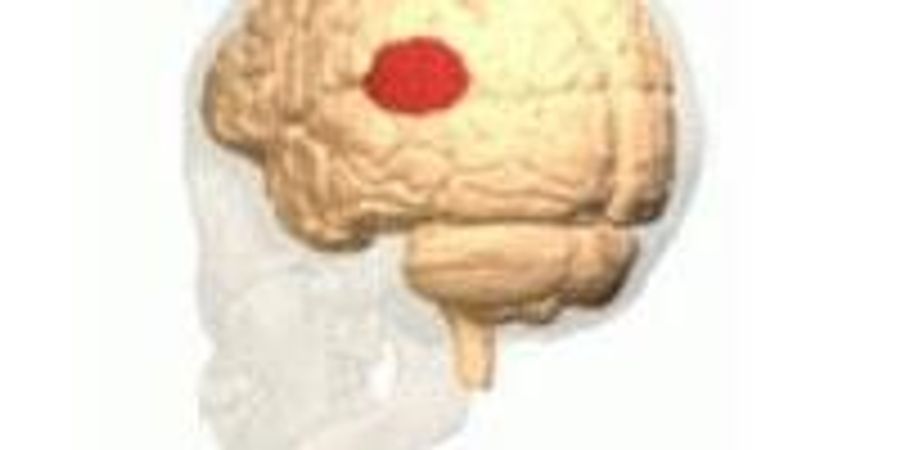 Why Does the Brain Remember Dreams? | Lab Manager