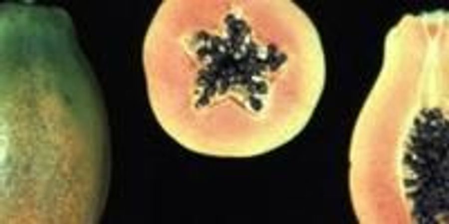 First Comprehensive Test to Detect Genetic Modification in Food | Lab ...