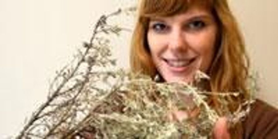 Chemical Complexity of Plants Sprouts to Life in UBC Science Lab | Lab ...