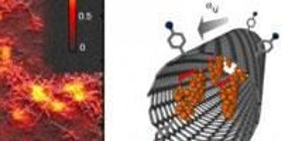 Amplifying Our Vision of the Infinitely Small | Lab Manager