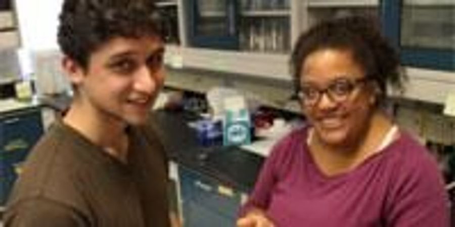 Cockroach Never Seen Before in U.S. Is Identified in New York | Lab Manager