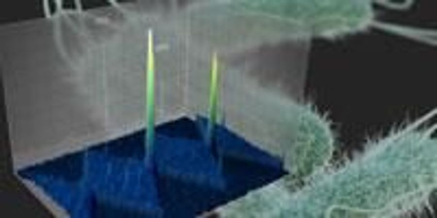 Sorting Good Germs from Bad, in the Bacterial World | Lab Manager