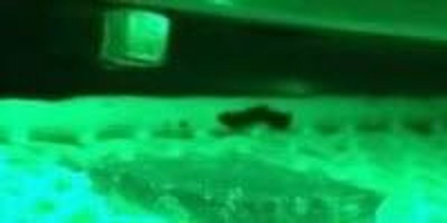 Green Light for a New Generation of Dynamic Materials | Lab Manager