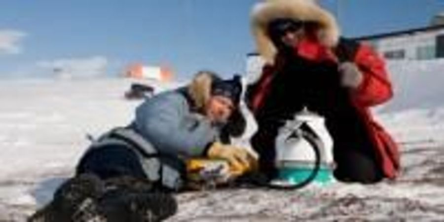 Bacterium from Canadian High Arctic and Life on Mars | Lab Manager