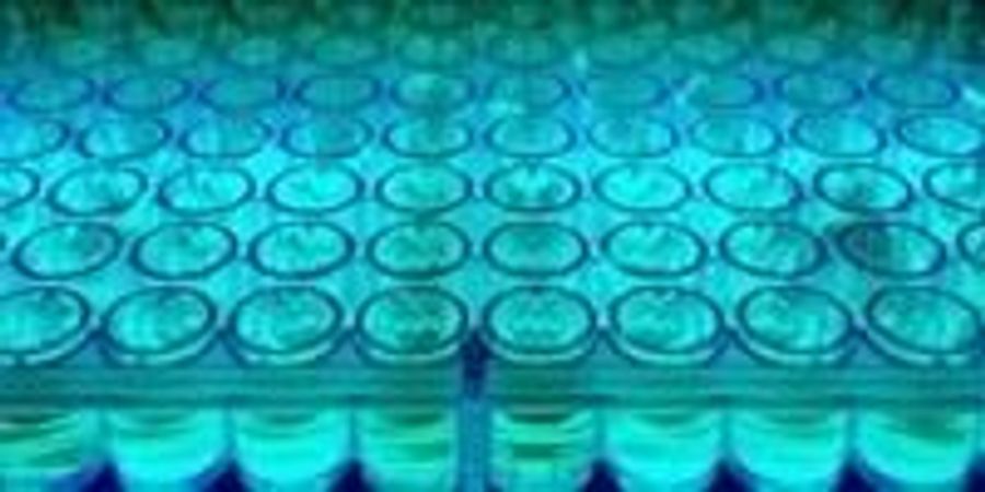 Chemists Give Chance a Helping Hand | Lab Manager