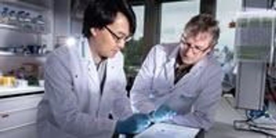 Molecular Scissors Stabilize the Cell's Cytoskeleton | Lab Manager