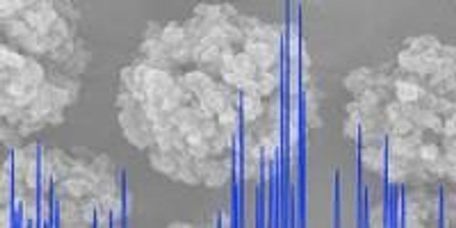 Thermo Fisher Scientific Dionex 4 µm Ion Chromatography Capillary ...