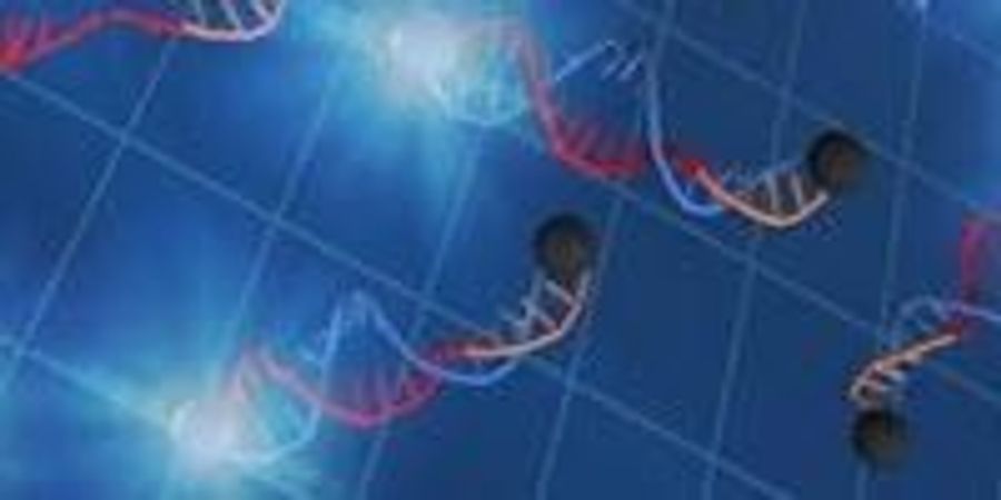 A Rapid, Easy-To-Use DNA Amplification Method at 37°C | Lab Manager