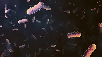 How to Safely Use Hazardous Sterilizing Agents | Lab Manager