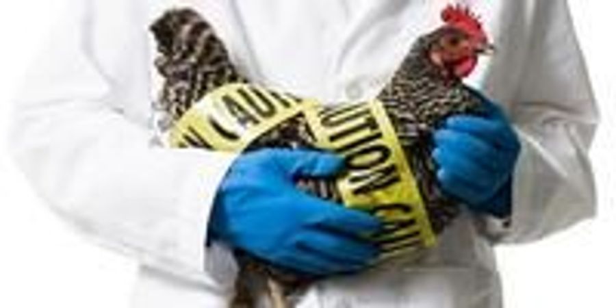 The 4 Key Parts of a Biosecurity Plan | Lab Manager