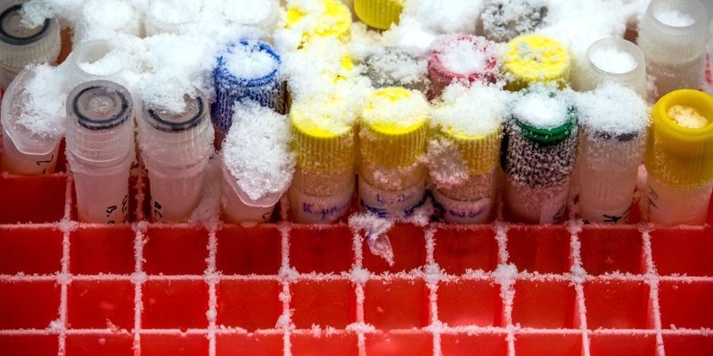 Cold Storage Resource Guide | Lab Manager