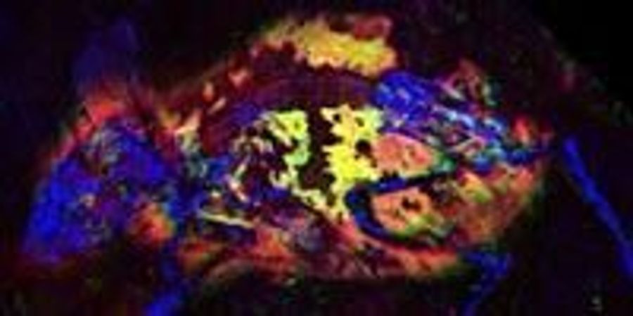 3-Million-Year-Old Fossilized Mouse Reveals Evolutionary Secrets of ...