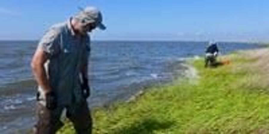 Study Shows Continuing Impacts of Deepwater Horizon Oil Spill | Lab Manager