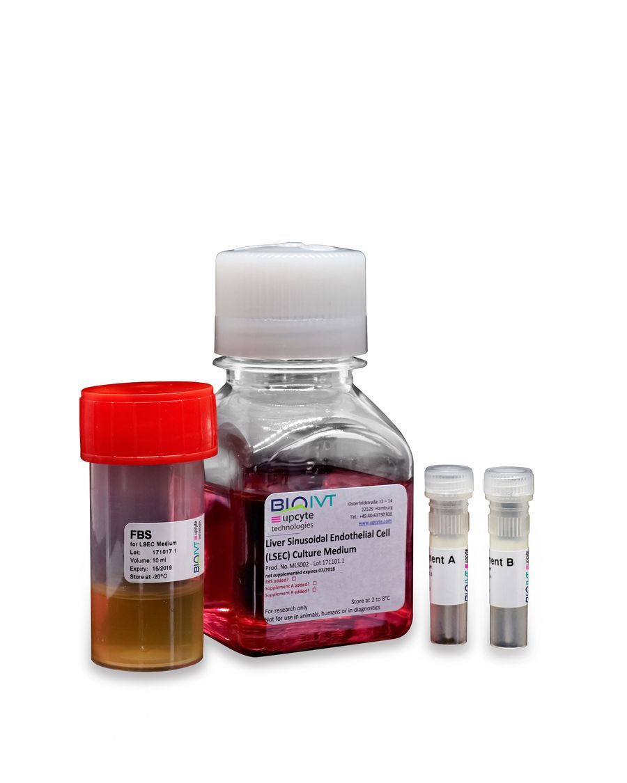 BioIVT Appointed Worldwide Distributor of upcyte Products for Use in In ...