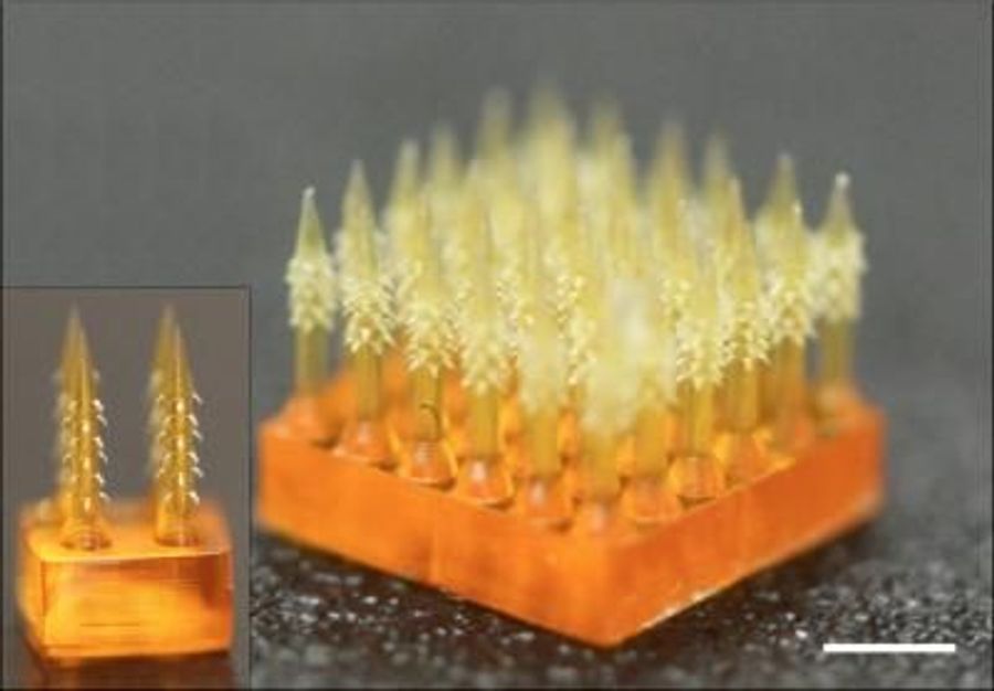 High-Tech Printing May Help Eliminate Painful Shots | Lab Manager