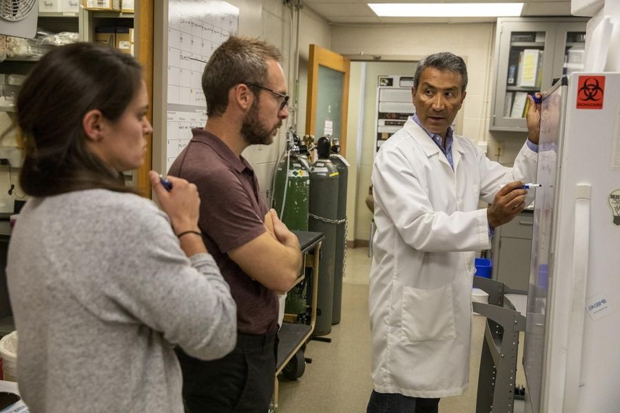 Communicating Science Can Benefit from Scientists 'Being Human' | Lab ...