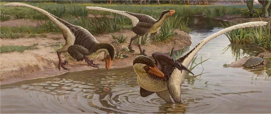 The Definitive Guide to Dineobellator notohesperus: Unearthing a Real ...