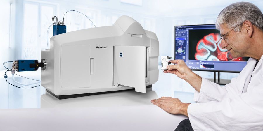 ZEISS Lightsheet 7 Allows Multiview Imaging of Both Living and Cleared ...