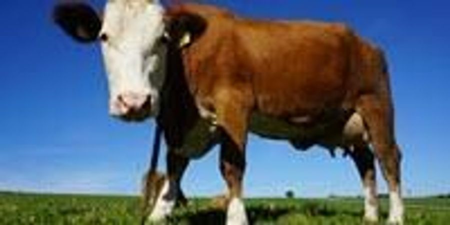 The Bigger the Evolutionary Jump, the More Lethal Cross-Species ...