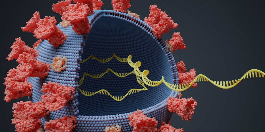 How the Novel Coronavirus Jumped from Animals to Humans | Lab Manager