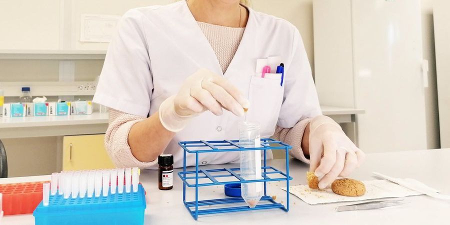 Novel DNA Analysis Will Help to Identify Food Origin and Fraud | Lab ...